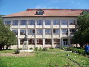 Colegiul National Simion Barnutiu Simleu Silvaniei – noua decenii de ...